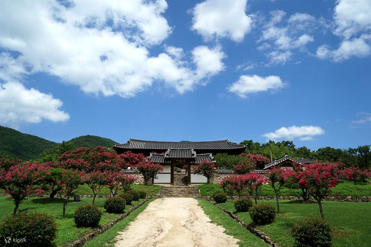 From Sky to Scholars & Kings: Danyang, Andong & Gyeongju Tour - Klook Singapore