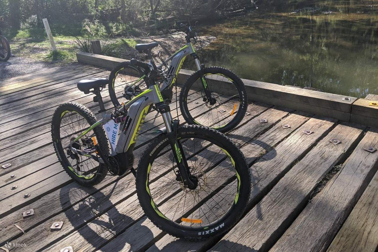 Wagonga Wilderness E-Bike Trail with Picnic - Klook