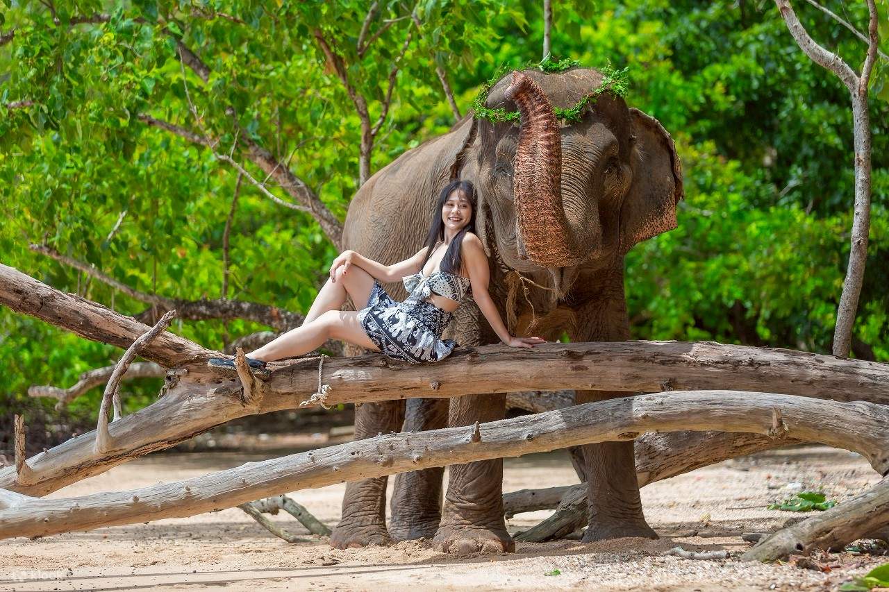 Elephant and Beach Experience at Phuket Siray Elephant Care Camp - Klook