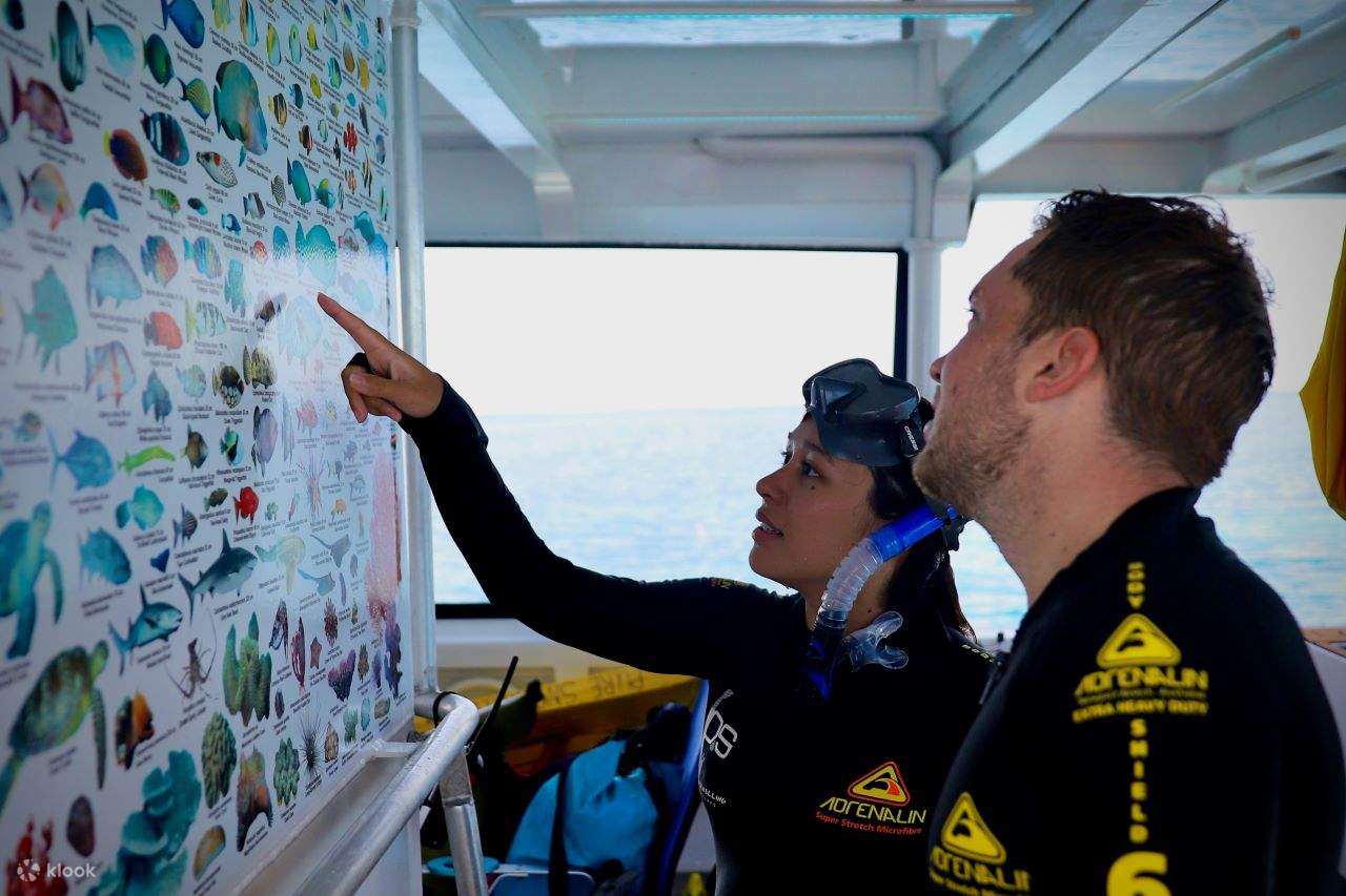 Half Day Great Barrier Reef Tour in Cairns - Klook Australia