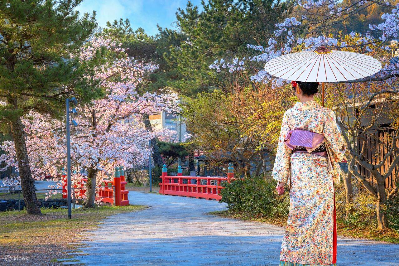 [One-day tour of Kyoto, Nara, and Uji] Nara Park's cute deer, Fushimi Inari Taisha Shrine's ...