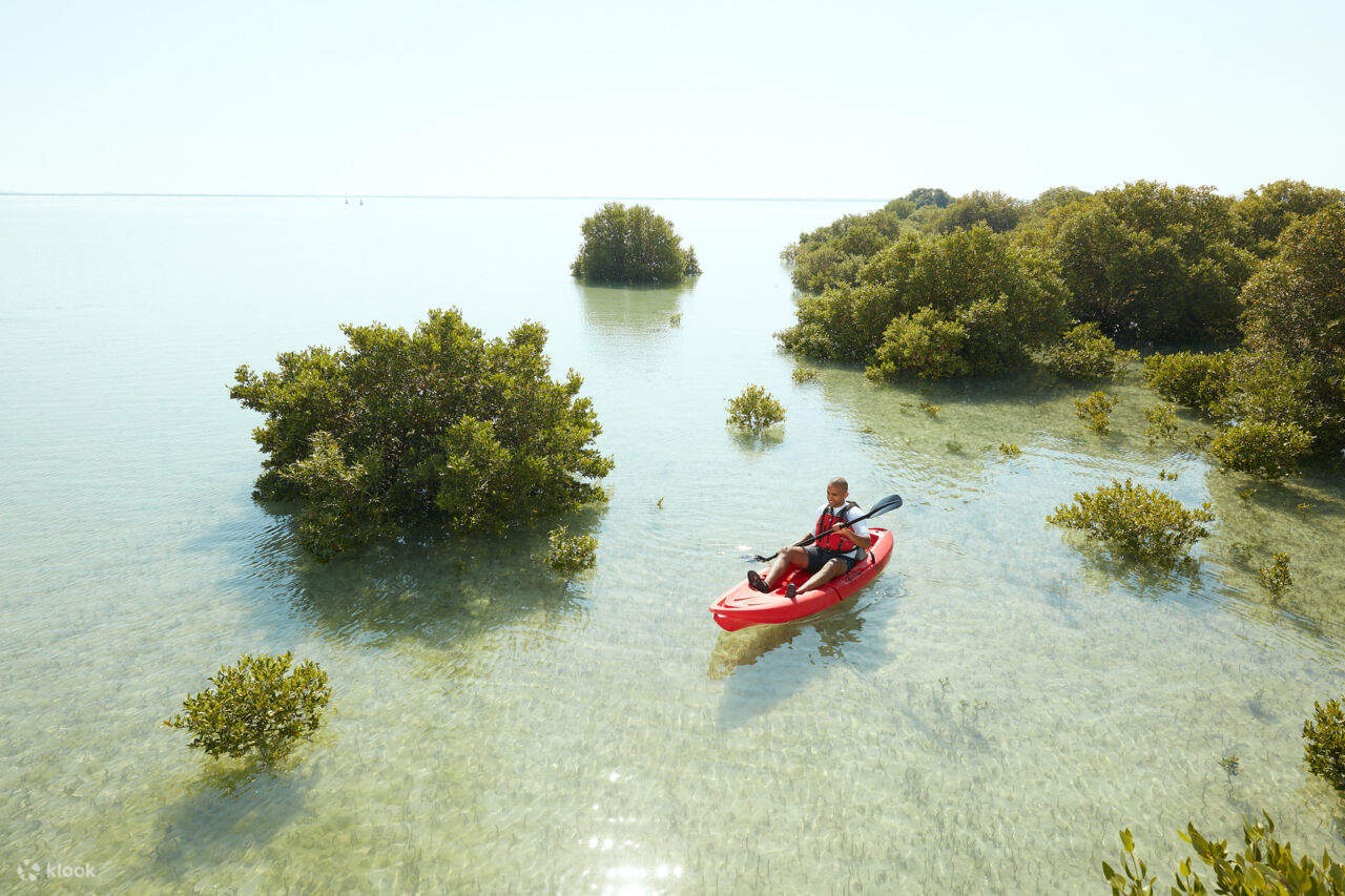 Doha Private North Qatar Tour: Mangroves Island Al Zubarah Fort - Klook ...