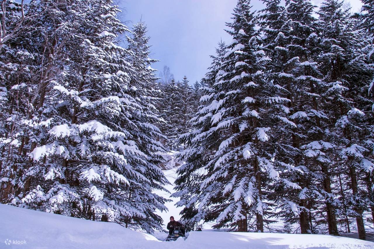 Hokkaido Sapporo Snowmobile Land Experience: Morning Skiing + BBQ Lunch ...