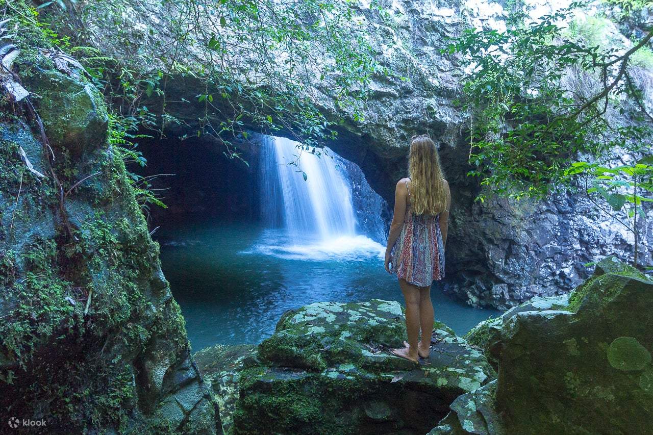 Gold Coast Springbrook National Park & Glow Worm Night Tour (Chinese ...