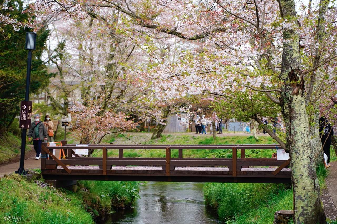 Arakurayama Asama Park & Lake Kawaguchi & Cable Car Day Tour - Klook ...