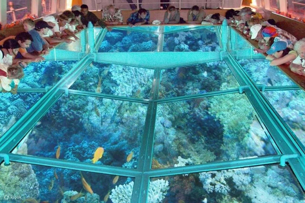 1 hour Glass Boat Sea Trip With Transportation - Sharm El Sheikh ...