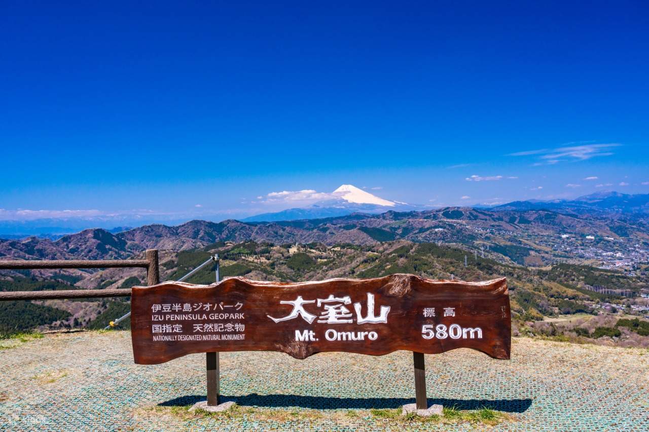 Hakone Shrine & Mt. Omuro & Jogasaki Coast One Day Tour from Tokyo - Klook