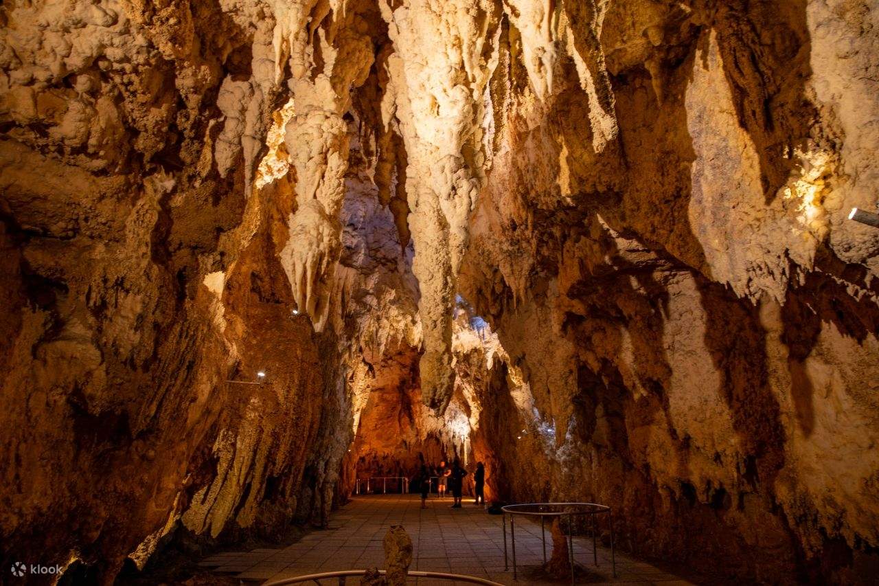 Tour Tham Quan Hang Động Waitomo và Hobbiton từ Auckland - Klook Việt Nam