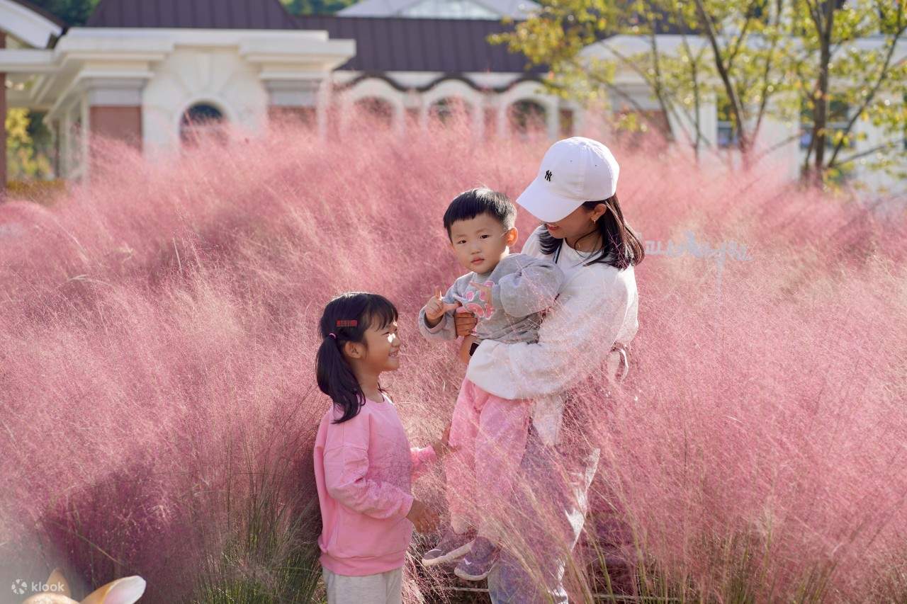 Eden Cherry Blossom Road x AQUAFIELD Jjimjilbang x Begonia Bird Park - Klook