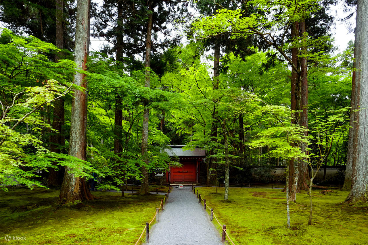 Kyoto Hidden Gems Tour | Sanzen-in Temple (Hydrangeas in June/July ...