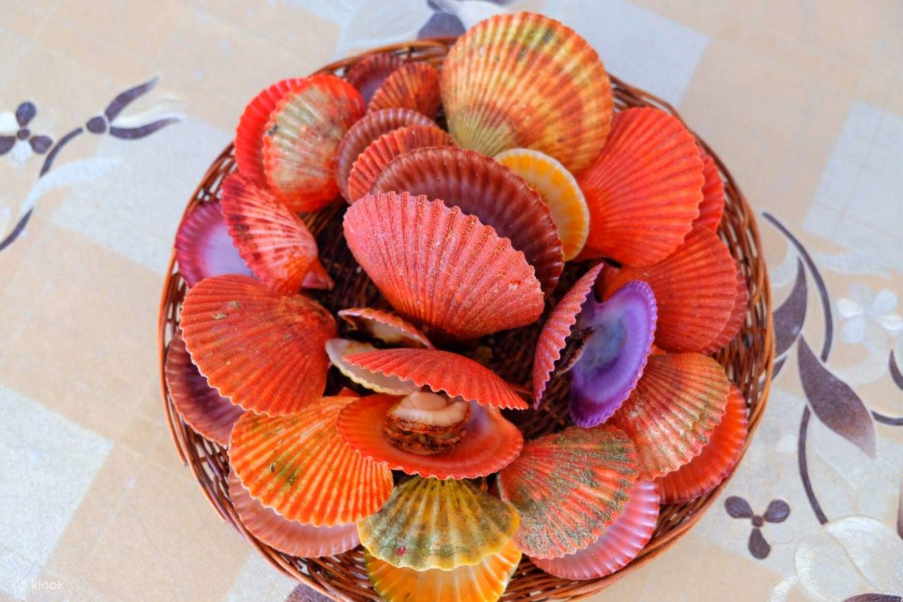 Gigantes Islands with Sicogon Island Join In Day Tour from Iloilo - Klook