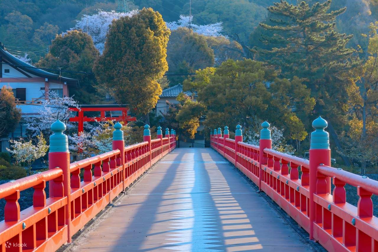 [One-day tour of Kyoto, Nara, and Uji] Nara Park's cute deer, Fushimi Inari Taisha Shrine's ...