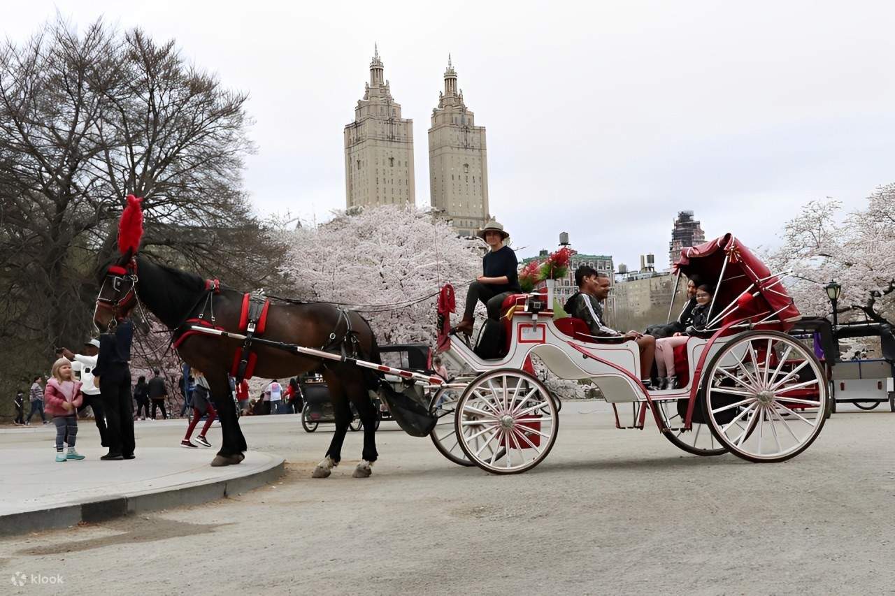 New York City: Horse-Drawn Carriage Tour Through Central Park - Klook ...