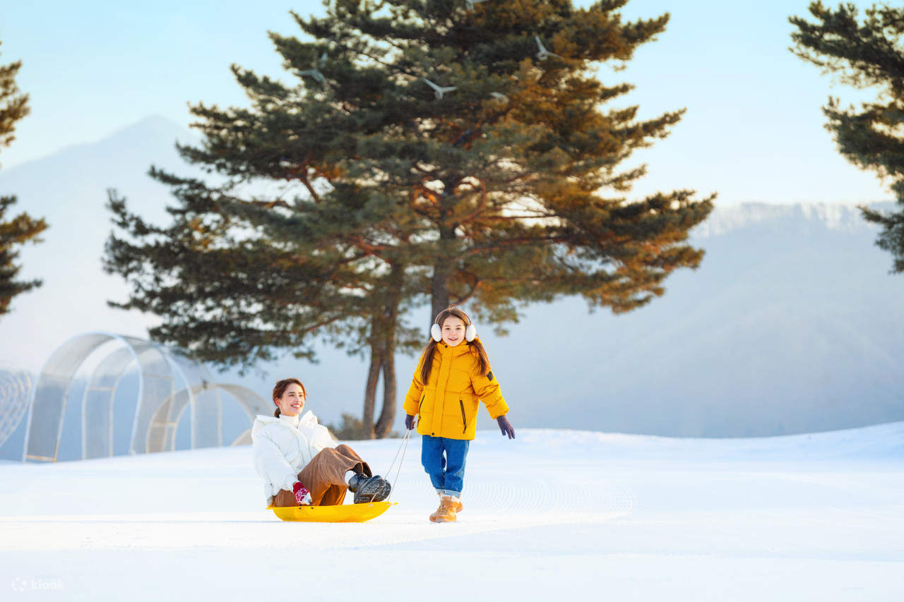 Hongcheon Daemyung Vivaldi Park 2 Days Tour from Seoul - Klook United ...