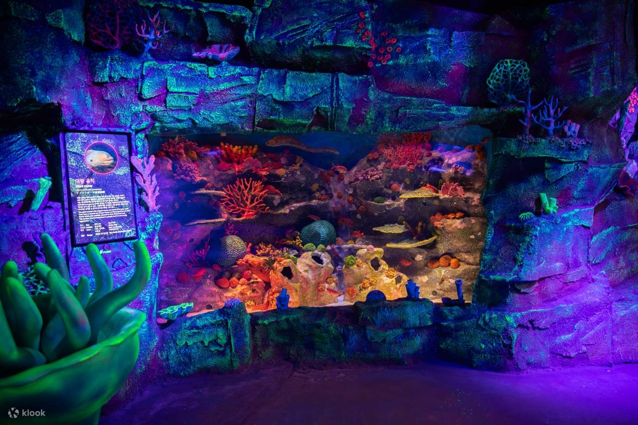 Busan SEA LIFE Aquarium / Brickman Admission Ticket - Klook