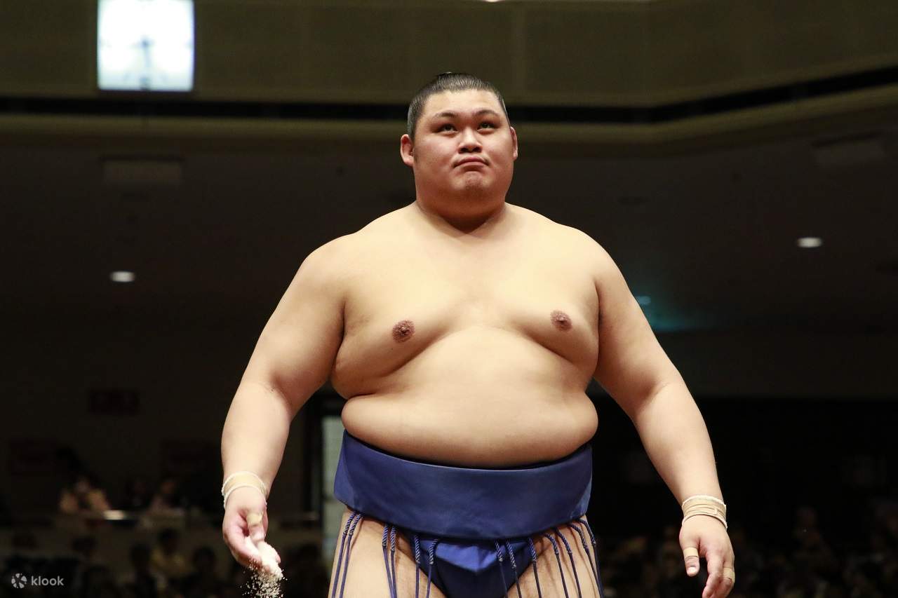 Fukuoka City, Kyushu Grand Sumo Tournament Viewing Half Day Tour - Klook