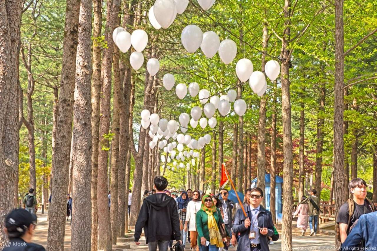 [Special Offer] Nami Island Admission with Restaurants & Activities ...