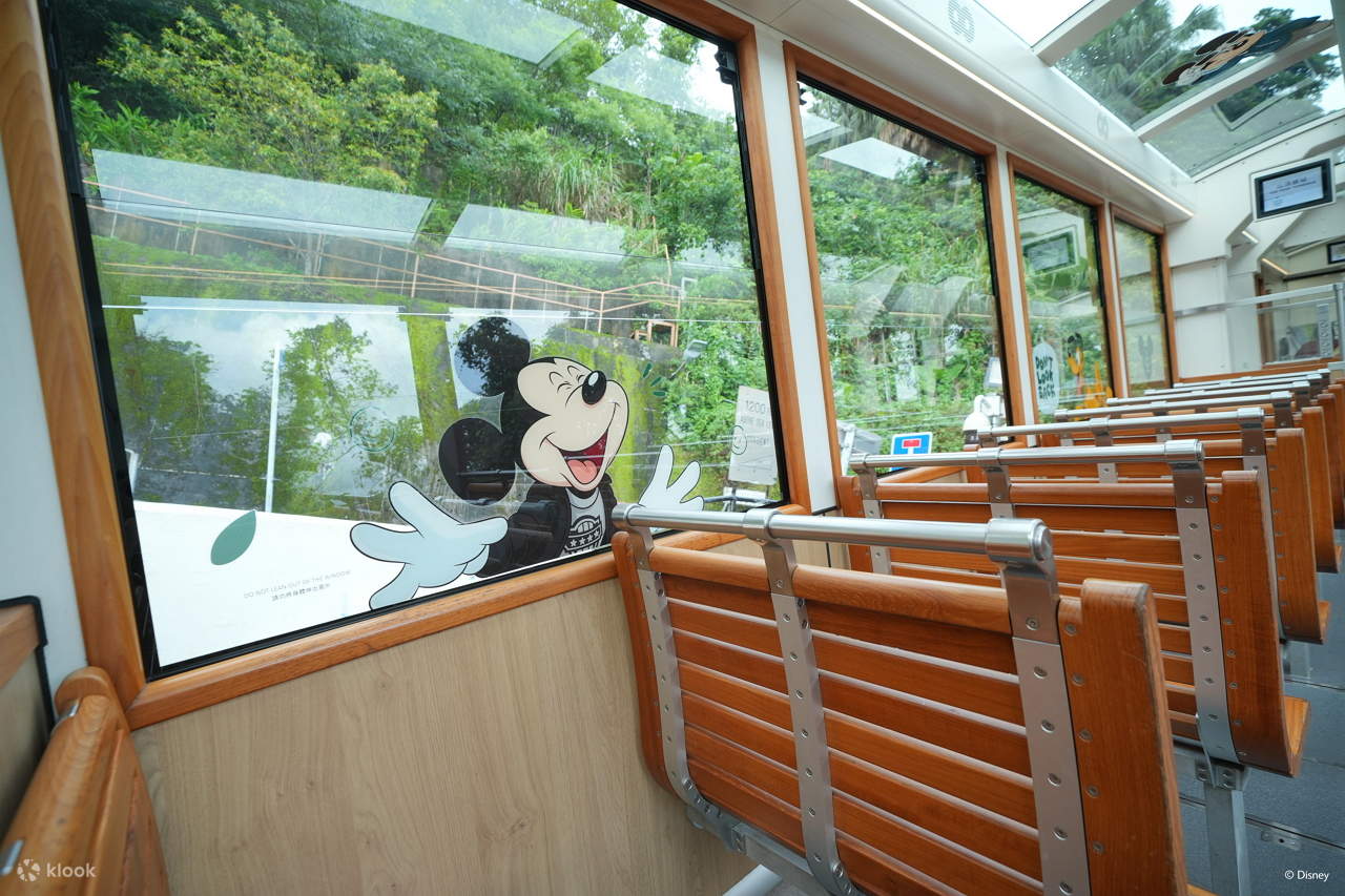 HK guided tour- Peak tram with fast track, Star Ferry, food - Klook