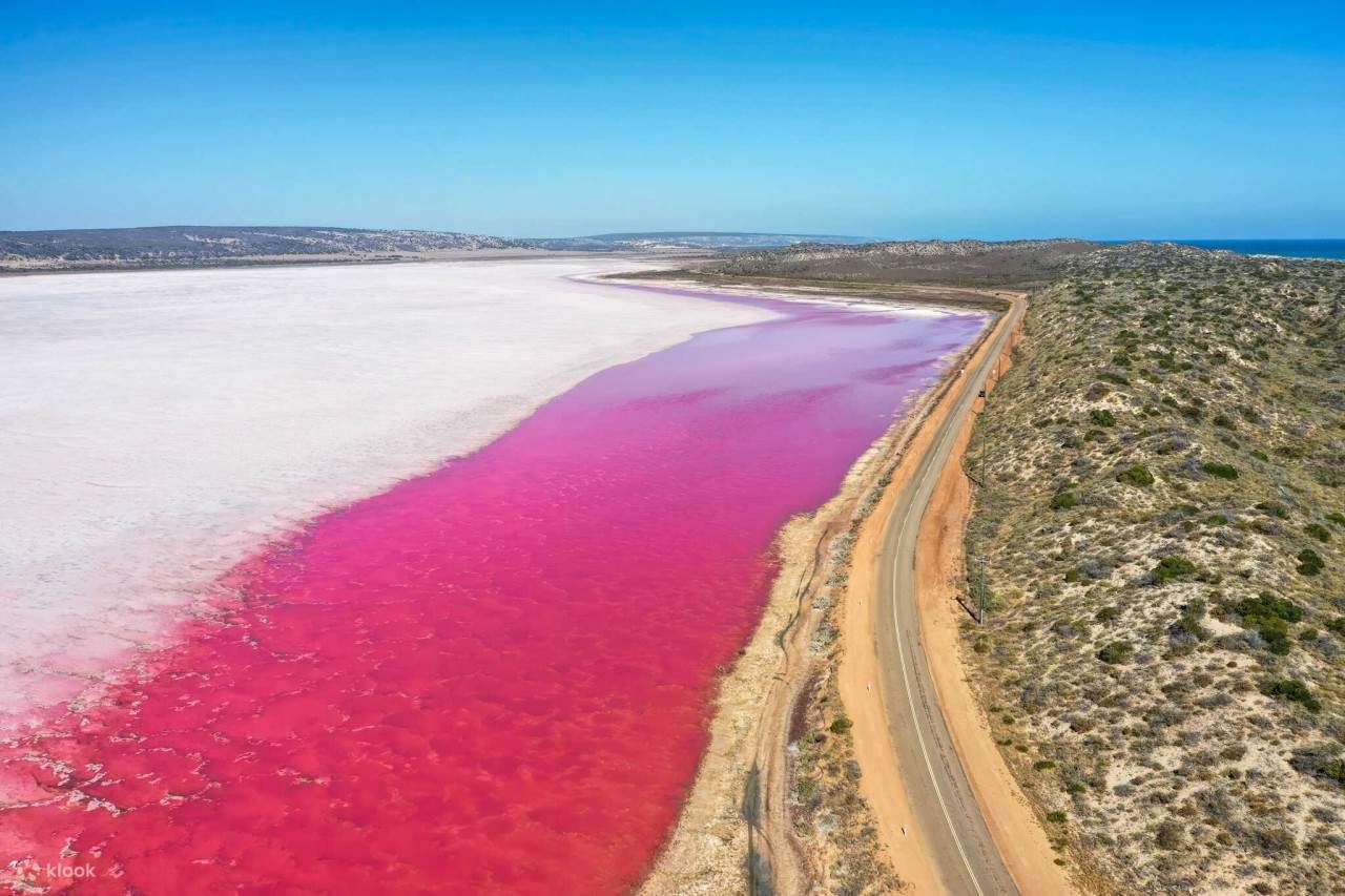 7D6N Pink Lake, Kalbarri, Wave Rock & Rottnest Island Tour - Klook ...