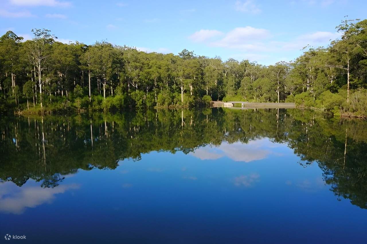 4 Day Pink Lake, Kalbari and South West Ultimate WA Tour - Klook