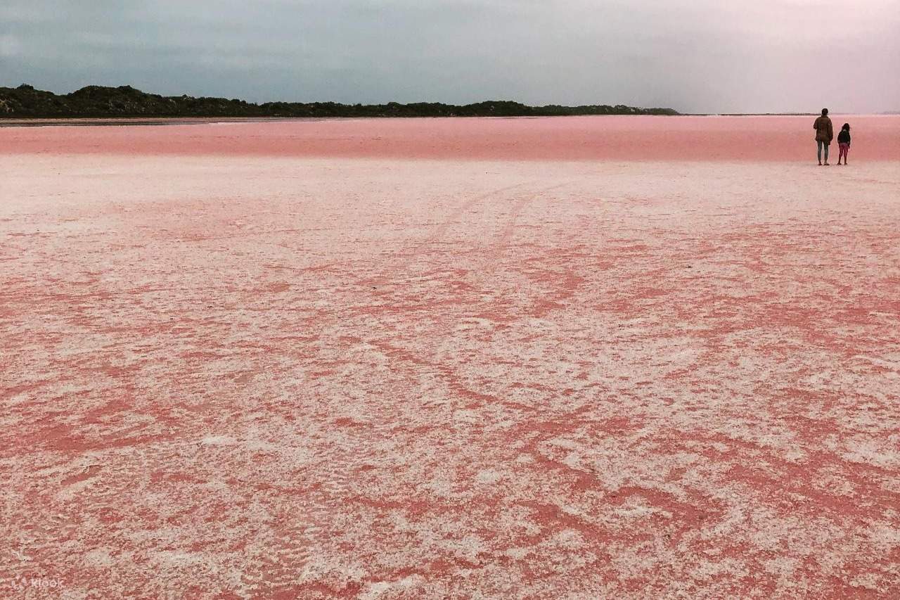 Pink Lake Tours & Activities at Hutt Lagoon - Klook Singapore
