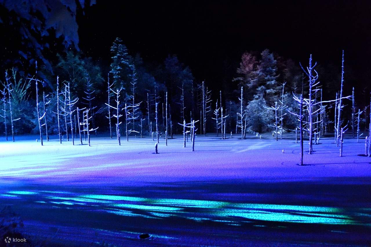 Hokkaido: Isang araw na paglalakbay sa Asahiyama Zoo, Blue Pond, at ang ...