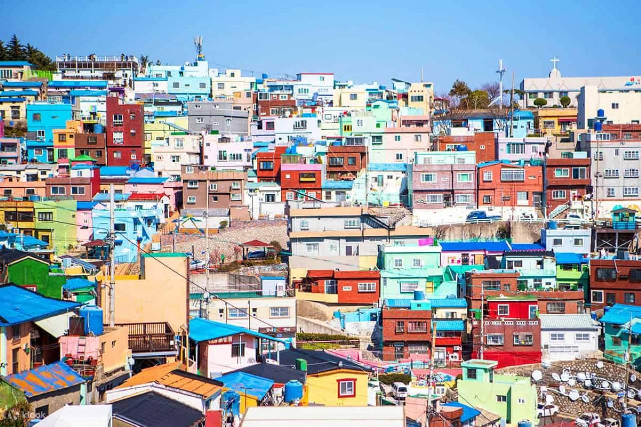 Busan Luxury City Tour with Sunset Yacht Cruise - Klook Australia