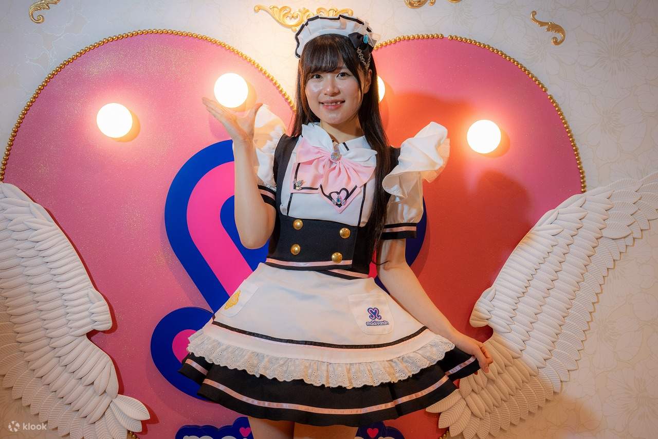 Tokyo City, Akihabara Anime & Gaming Adventure Half Day Walking Tour ...