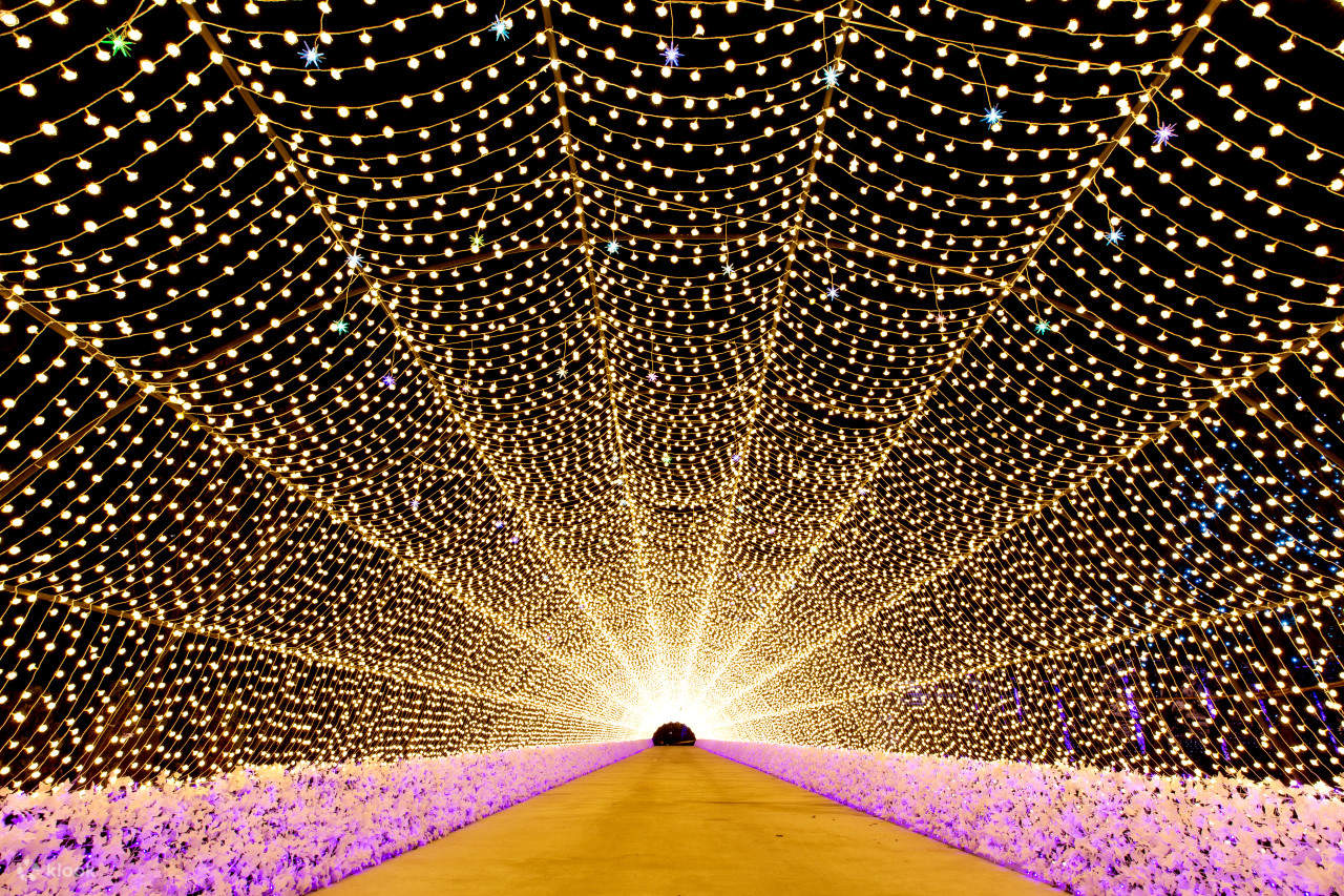 Anseong Farmland & Starlight Garden Universe One Day Tour - Klook