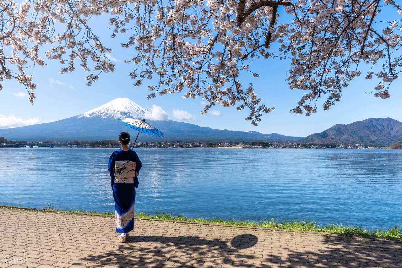 Mount Fuji, Kawakuchiko, and Arakurayama Sengen Park Join In Bus Tour with Flower from Tokyo ...