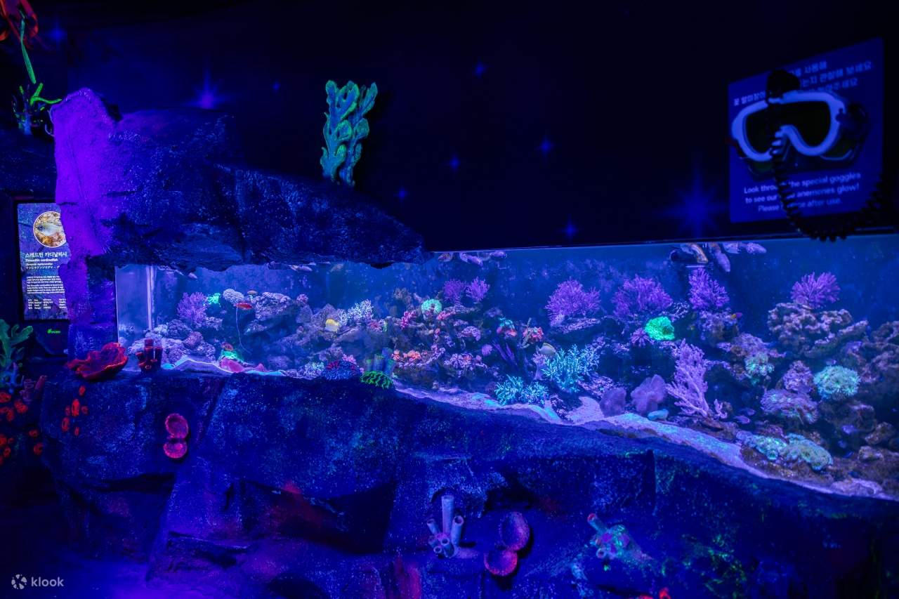 Busan SEA LIFE Aquarium / Brickman Admission Ticket - Klook