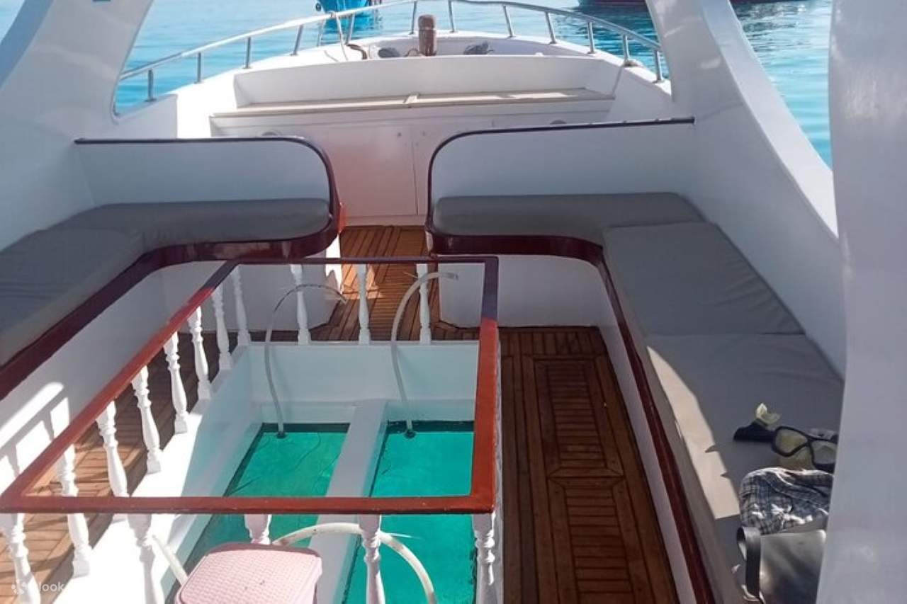 1 hour Glass Boat Sea Trip With Transportation - Sharm El Sheikh ...