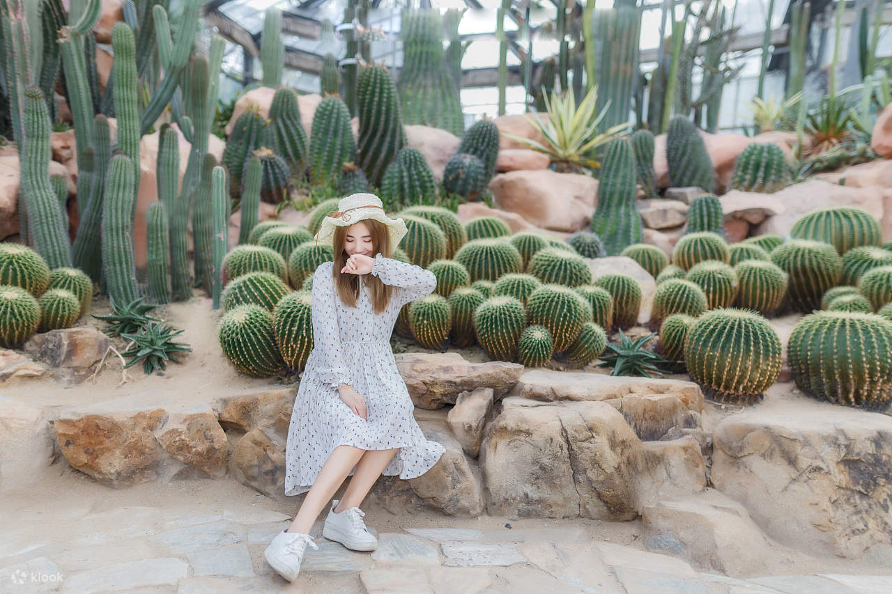 Xiamen Botanical Garden + Nanputuo + Shapowei + Pangui Tower + Zengcuo ...