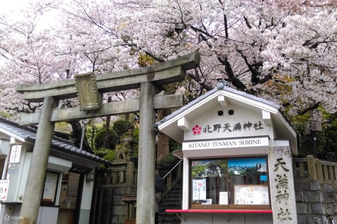 Kobe & Himeji Charter Car Customizable 1-Day Trip (from Kyoto/Osaka ...