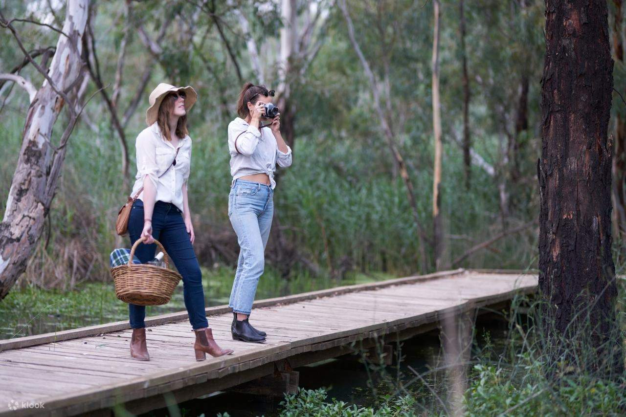 Guided Birdwatching Tour at Banrock Station Winery - Klook