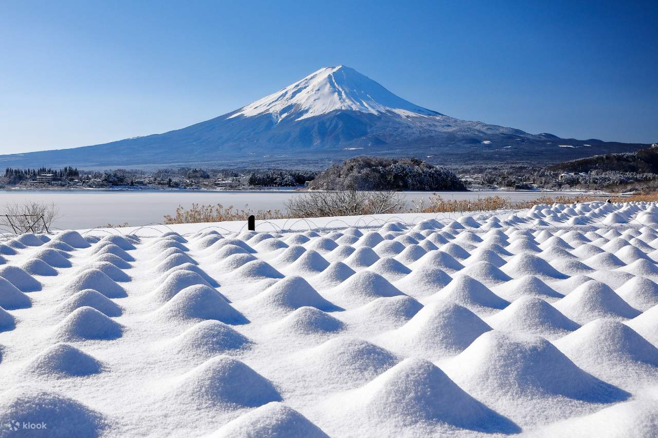 Gita di un giorno al Monte Fuji: Parco Arakurayama Sengen, Oshino ...