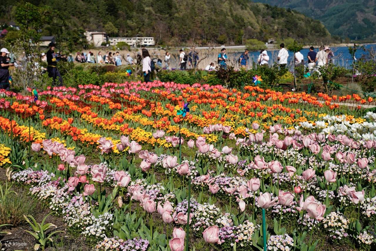 Mt. Fuji Hakone Day Tour Online Reservation - Klook Malaysia