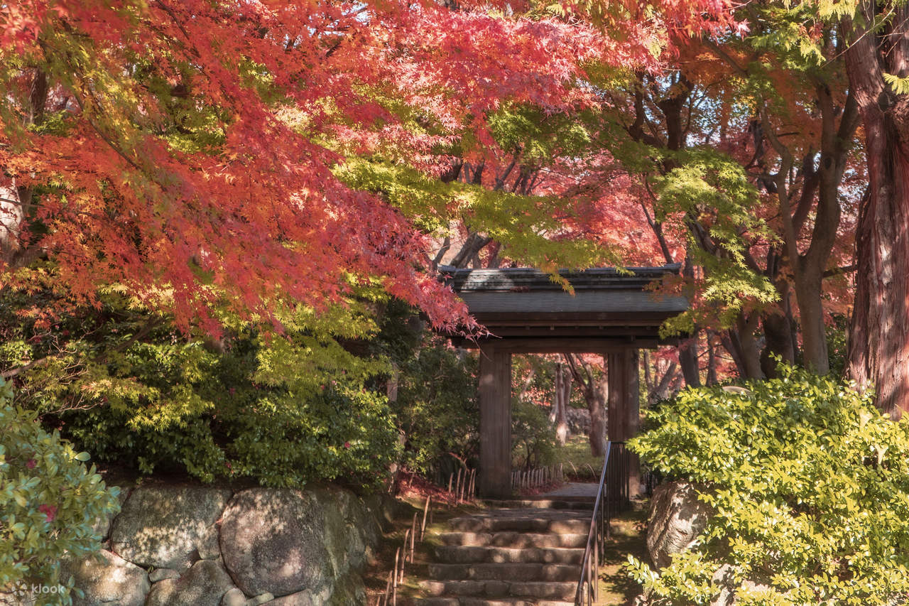 Kogei Dining 2025 at the MOA Museum of Art - Klook India
