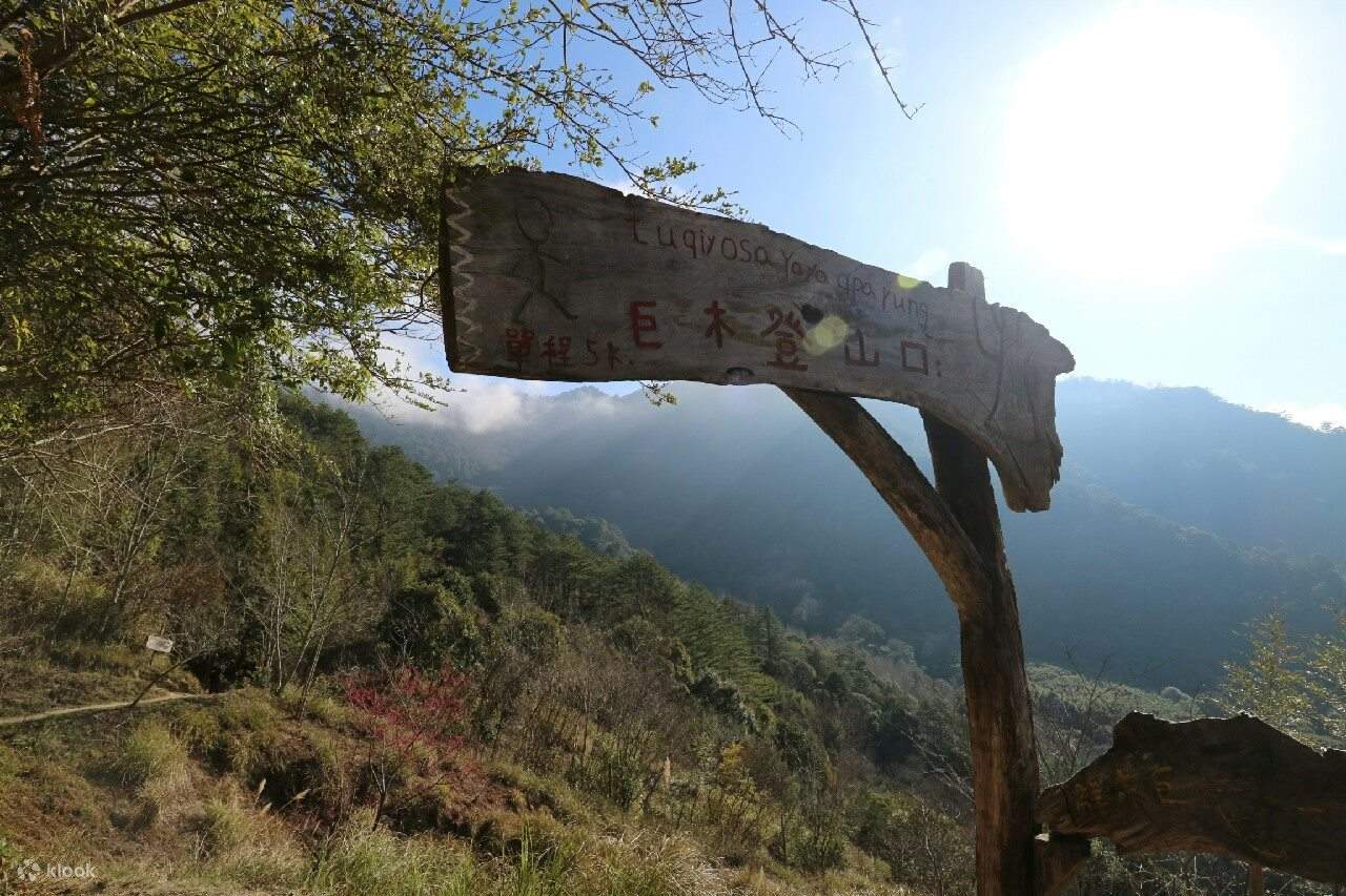 [The Tribe of God] Hsinchu Smangus & Zhenxibao Giant Tree Groves 2-Day ...