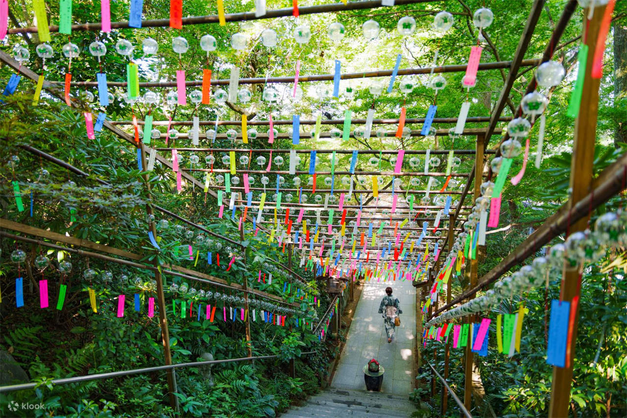 Kyushu Oita In-depth One-Day Tour｜Pray at Dazaifu Tenmangu Shrine ...