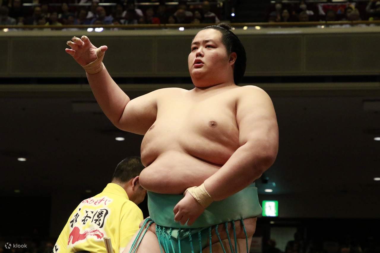 Osaka City, Osaka Grand Sumo Tournament Viewing Half Day Walking Tour ...
