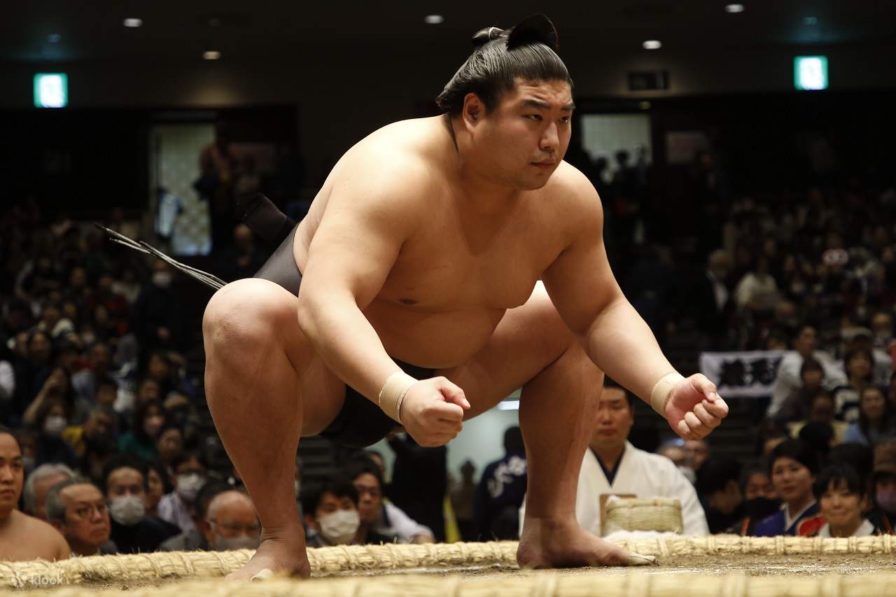 Nagoya Grand Sumo Tournament Viewing Tour with Tickets - Klook