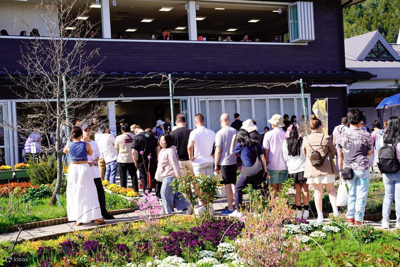 Mt. Fuji Hakone Day Tour Online Reservation - Klook Malaysia