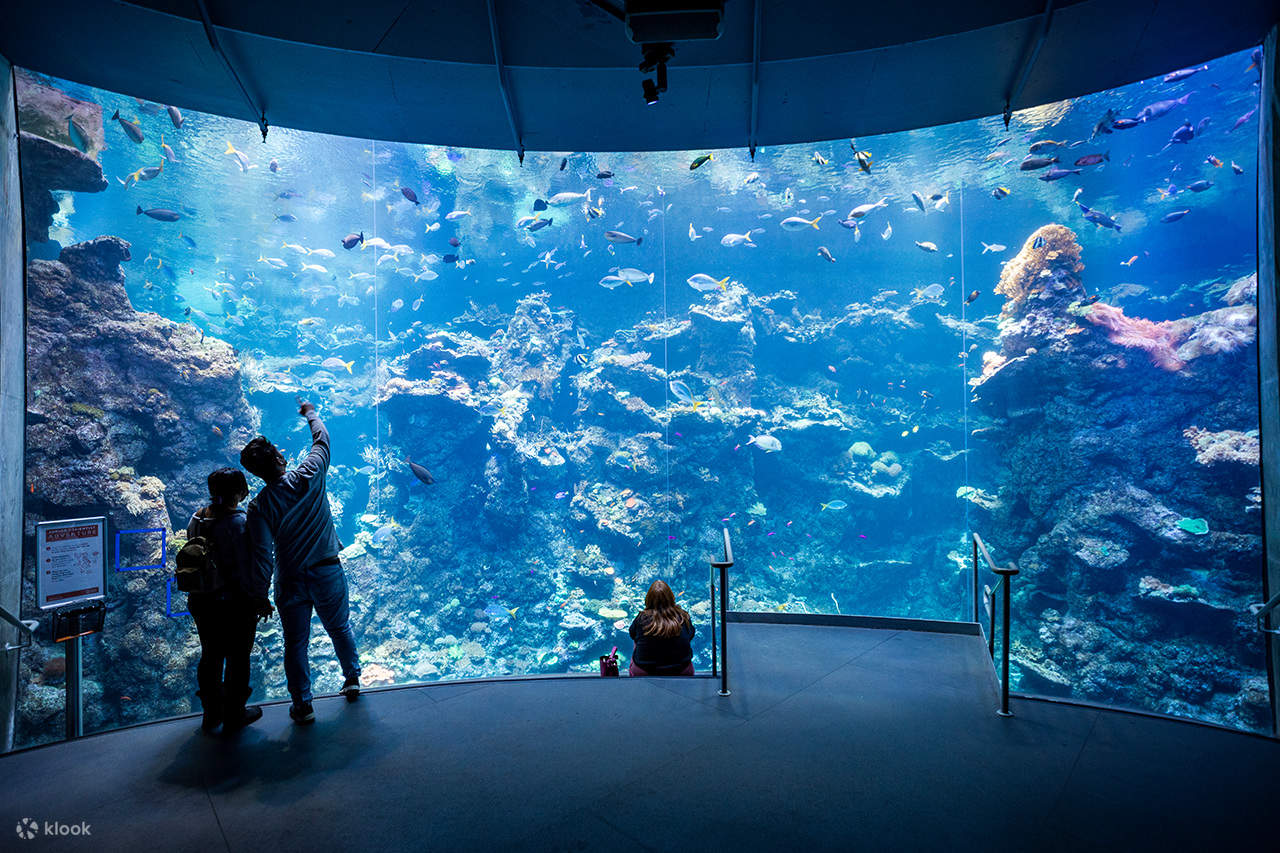 California Academy of Sciences Admission Ticket San Francisco - Klook ...