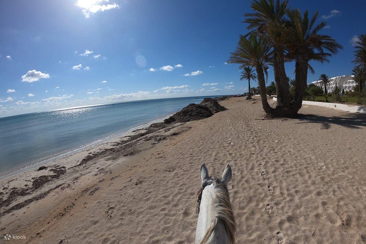 Experiencia de paseo a caballo en la laguna de Djerba - Klook Estados ...