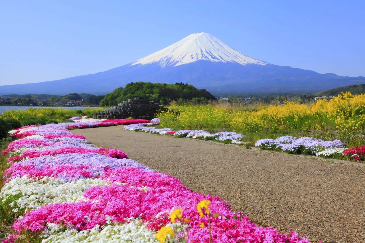 Mount Fuji Magnificent Day Tour from Tokyo - Klook Singapore