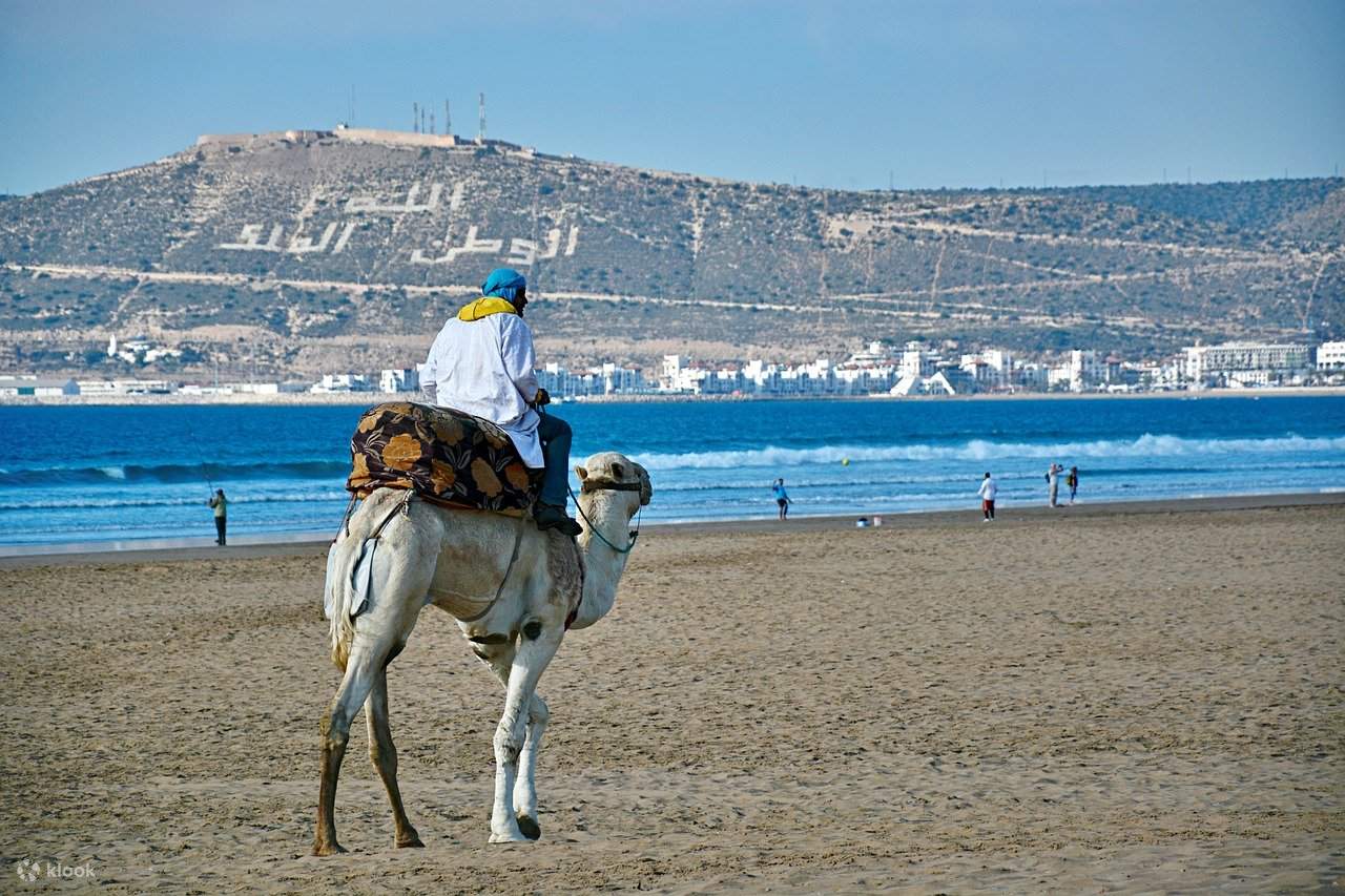 Agadir private day trip with pick-up and transport from Marrakech ...