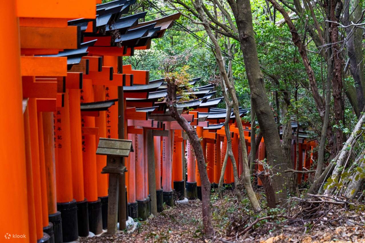 Kyoto Arashiyama Scenic and Cultural Tour and Nara Deer Fun Experience ...