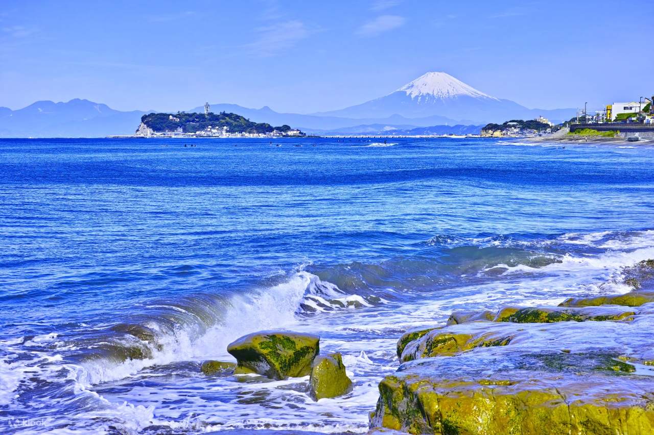 [Mount Fuji Popular Flower Viewing Spots Day Trip] Oishi Park & Oshino ...