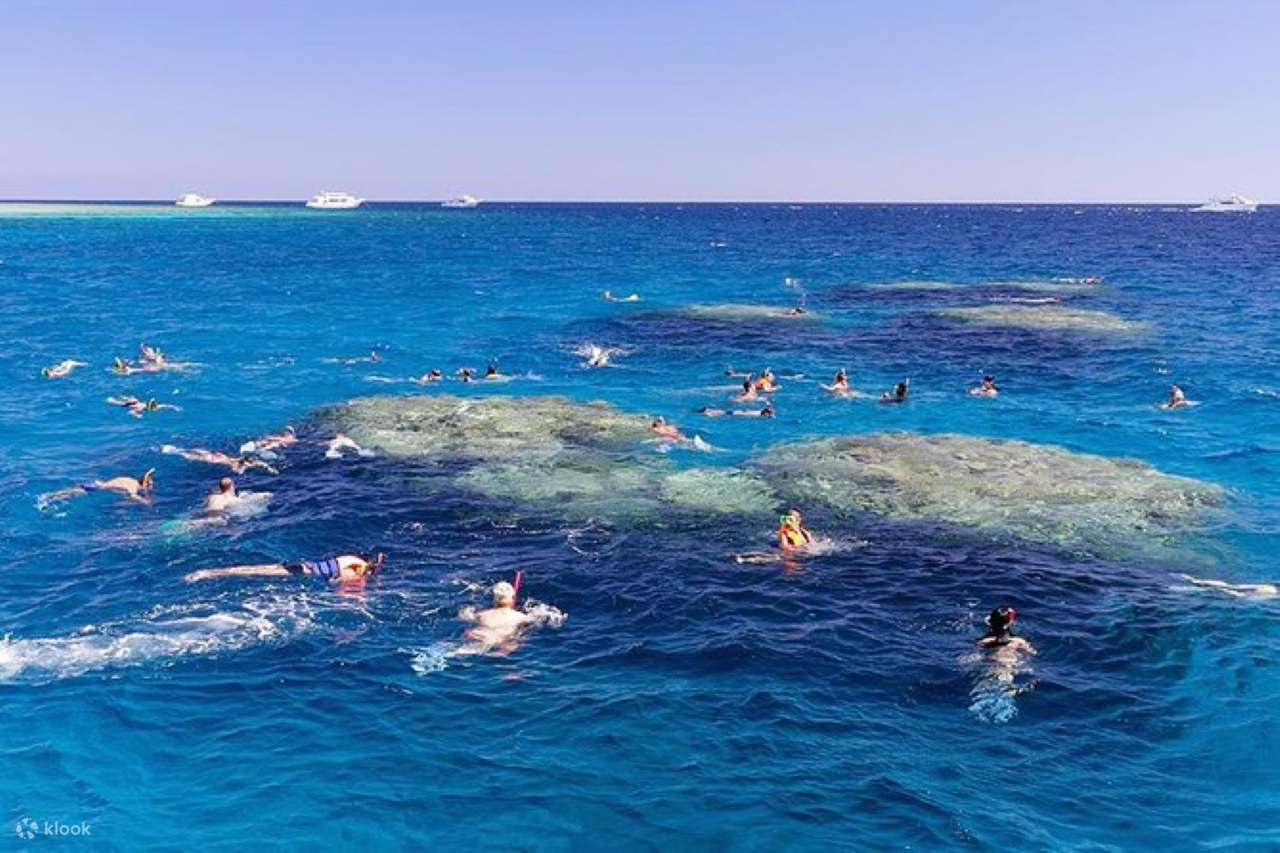 Tiran Island Snorkeling Sea trip, Lunch & Transfer - Sharm El Sheikh ...